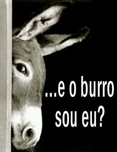 E o burro sou eu? – Blog DeAr Lindo